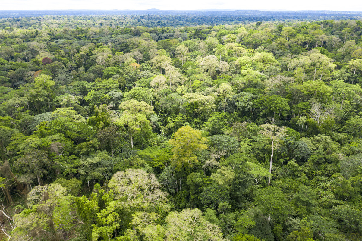 Est ndar De Agricultura Sostenible V1 4 Costa Rica 2025 07 01 19 est-ndar-de-agricultura-sostenible-v1-4-costa-rica-2025-07-01-19